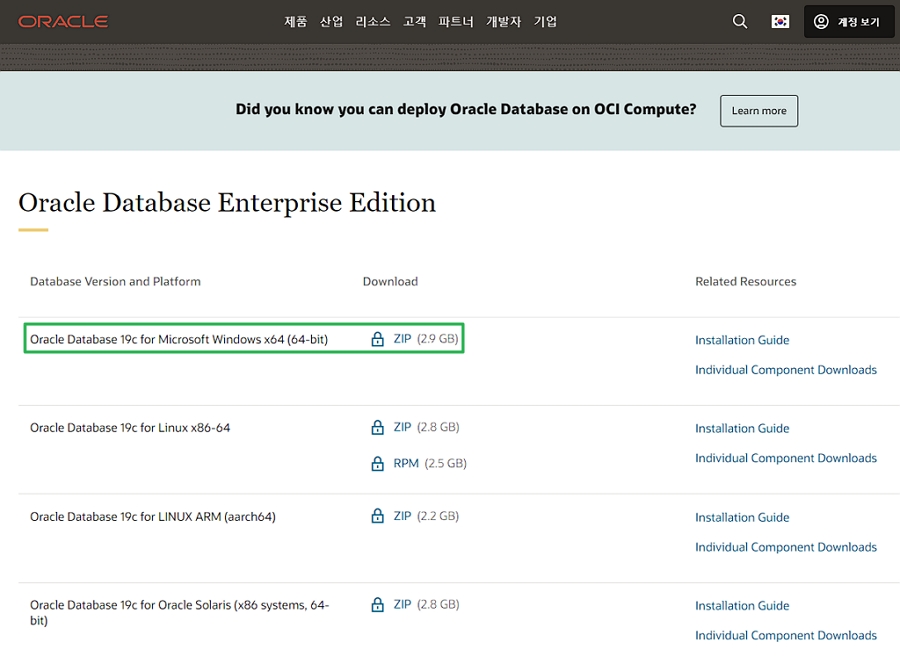 Oracle: Window 오라클 19c 설치